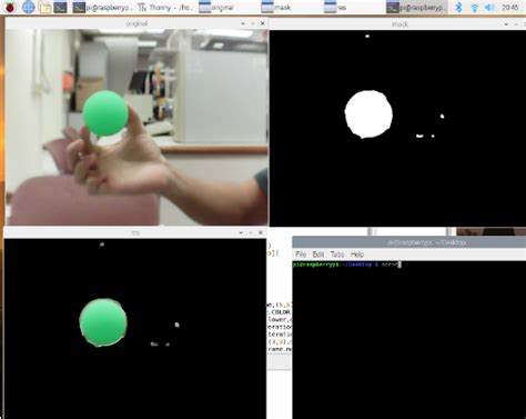 perceptual robotics