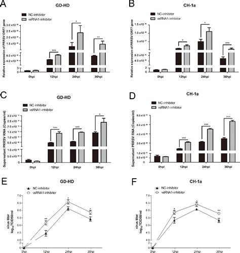 Figure 2 From Microrna Like Viral Small Rna From Porcine Reproductive
