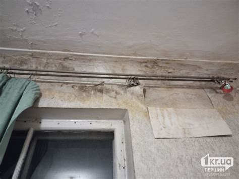 Криворожане жалуются на управляющую компанию, не ремонтирующую дом ...