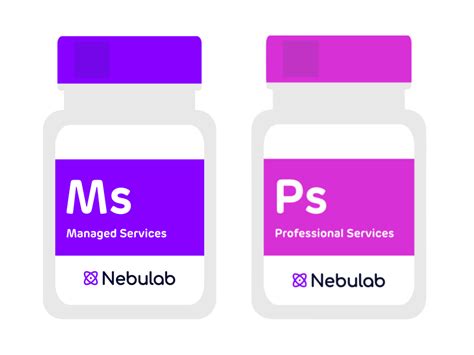 The New Standard For Physical Security Nebula Global Services People