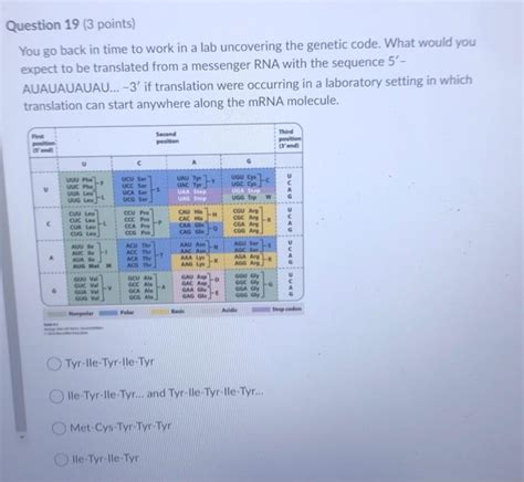 Solved Question 17 3 Points The Primary Rna Transcript