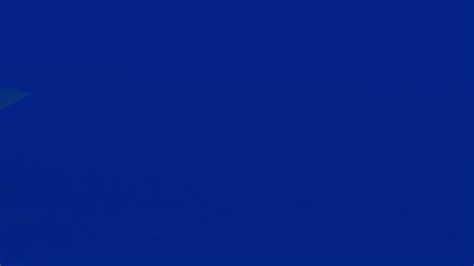 Adriana Calhoon Posted On Linkedin