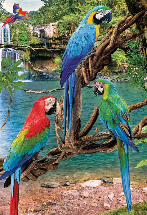 Macaws 250 Pieces Eurographics Puzzle Warehouse