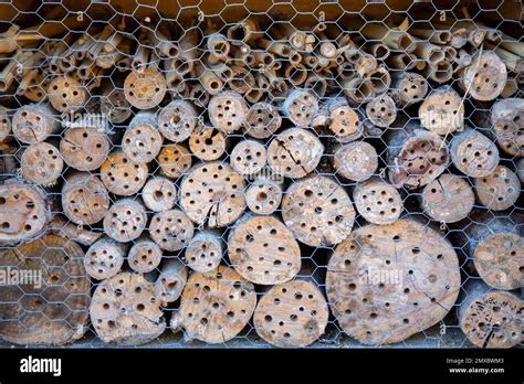 Bug Hotel Insect Overlapping Perforated Wooden Tree Branches House Hut
