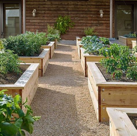 Le plus récent Écran Potager bois Idées Carré de légumes en bois
