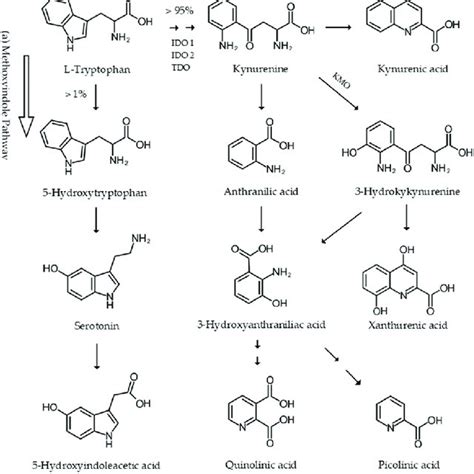 Structures Of Ergotamine Sumatriptan And Lasmiditan Download Scientific Diagram