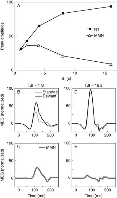 Experimental Support For The Adaptation Model Of Mmn Generation
