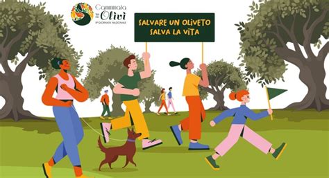 Anacapri CAMMINATA TRA GLI OLIVI 27 Ottobre Programma Completo