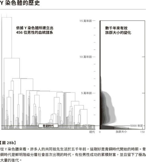 揭開雙性的面紗：從雌雄嵌合體看待多元性別的世界 Pansci 泛科學