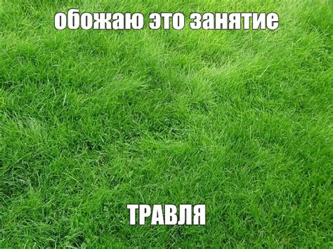 Создать мем текстура травы трава газон зеленый газон Картинки Meme