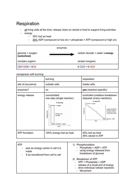 Hkdse Biology Respiration Notes Respiration Stuvia Us