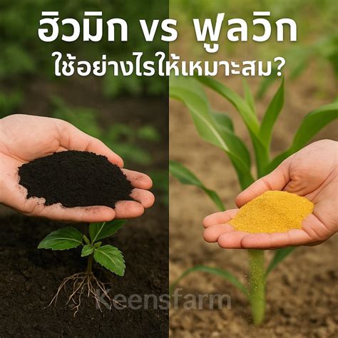 เกษตรธรรมชาติ 🌱 “ฮิวมิก” หรือ “ฟูลวิก” ใช้ตัวไหนดี 🧐 สารบำรุงดินกับตัวนำพาธาตุอาหาร แตกต่าง
