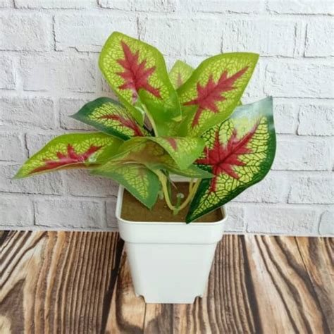 Jual Rangkaian Daun Keladi Artifisial Mini Shopee Indonesia