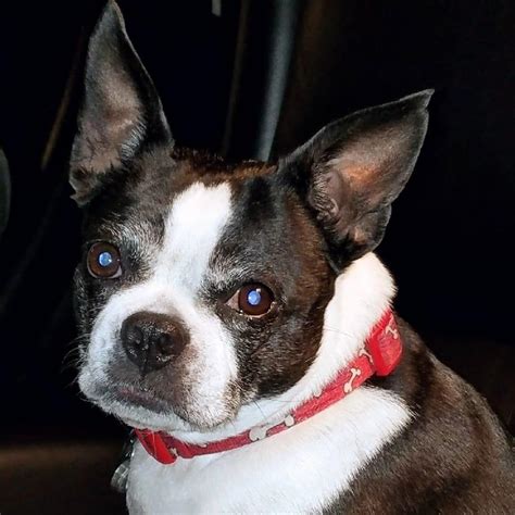 Sara Was About 4 Years Old In This Video I Sure Do Miss Her She Would Have Loved Maggie For