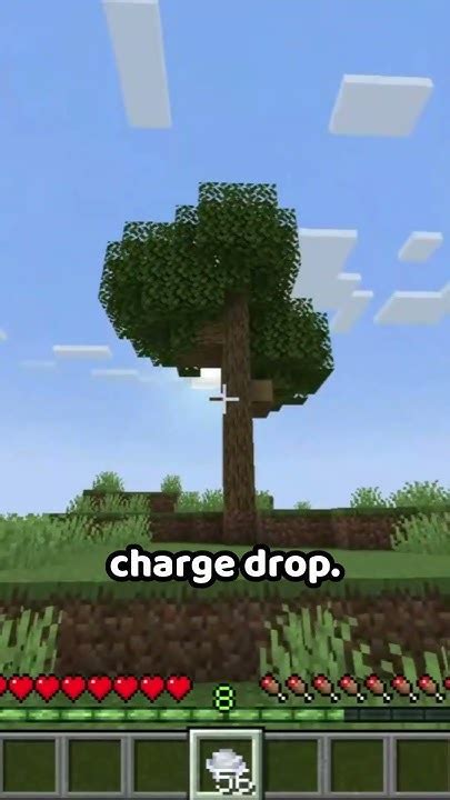 More Minecraft Tricks And Tips 🎁 Shorts Youtube