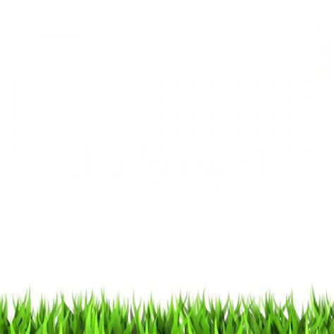 New Plain White Hd Background Full Hd Quotes Hari Lingkungan Hidup