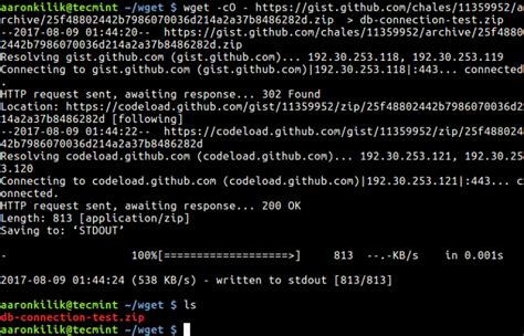 How To Rename File While Downloading With Wget In Linux