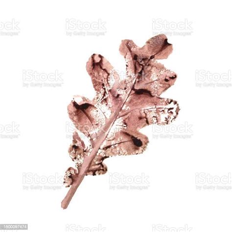 하얀 배경에 분리된 가을 말린 참나무 잎의 흔적 질감 포스터 프레임 디자인 요소에 대한 가을 실루엣의 수채화 그림 0명에 대한 스톡 벡터 아트 및 기타 이미지 Istock