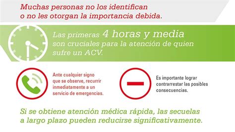 Un Ataque De Acv Mata 2 Millones De Neuronas Por Minuto Infobae