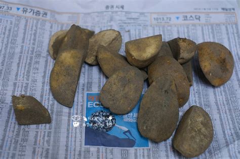 봄 씨감자 심기재배 감자 심는 방법 네이버 블로그