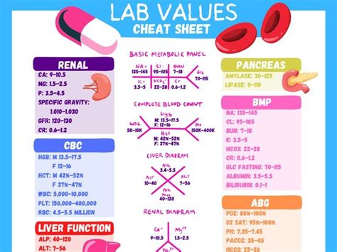 Nursing Lab Values Cheat Sheet Study Guide-student Nurse and RN Review Sheet-2 Page PDF Digital ...