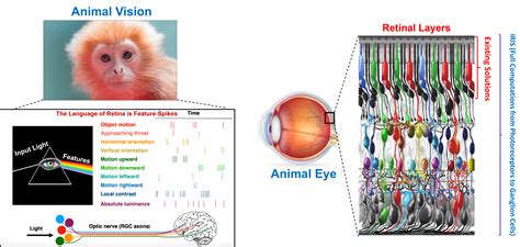 Research Laboratory For Computing With Unconventional Technologies