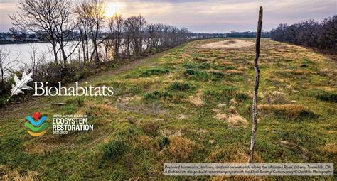 Episode 99 Stephen Pyne On Humanitys Evolving Relationship With Fire Rewilding