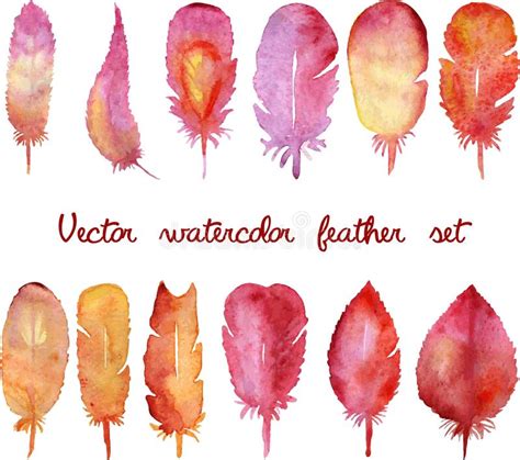 Set Of Vector Watercolor Hand Drawn Feathers Stock Vector