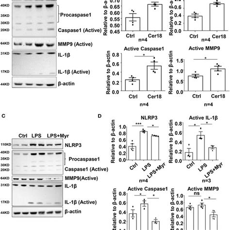 Enhanced Ceramide De Novo Synthesis In Macrophages Contributed To The