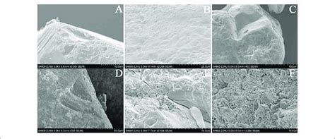 A Conchoidal Fractures B C V Shaped Cracks D Triangular Download Scientific Diagram