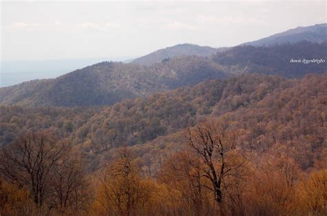 მთის მეგობრები მთის მეგობრები მოლაშქრეთა კლუბი