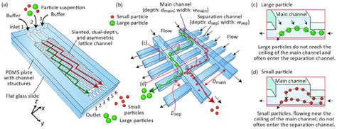 A Schematic Image Illustrating Particle Separation Behaviors Using Download Scientific