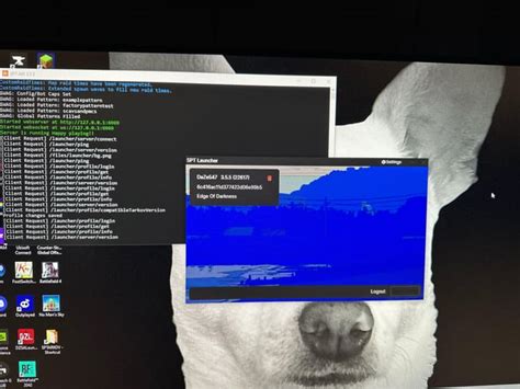 Spt Launcher Not Starting Game Rsptarkov