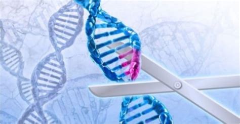 The First Crispr Gene Editing Treatment Rreligion