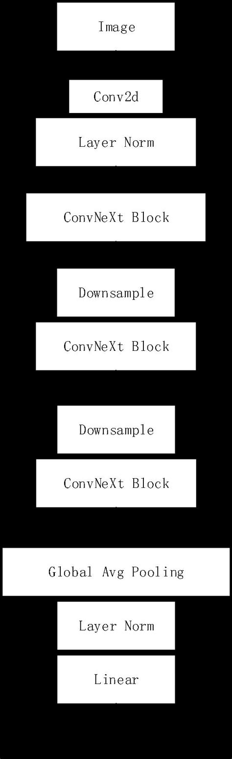 Model Structure Of Convnextswin Transformer Block And Convnext Block