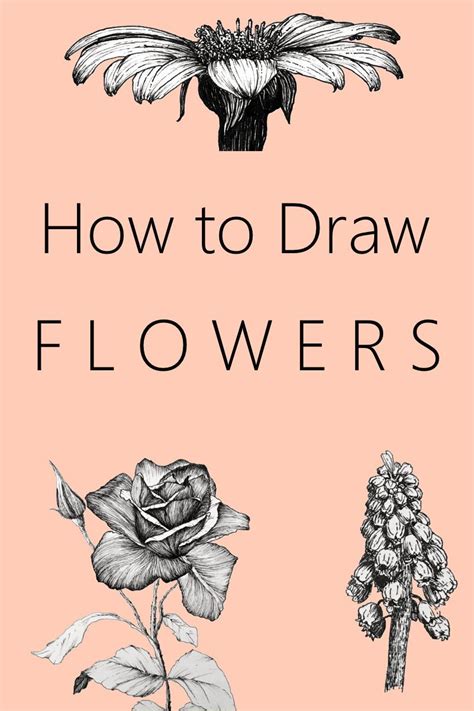 How To Draw Flowers Flower Drawing Tutorials Flower Sketches Art Tutorials Drawing Sketches