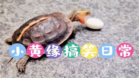 我没想过有一天这种事会发生在我身上 Youtube