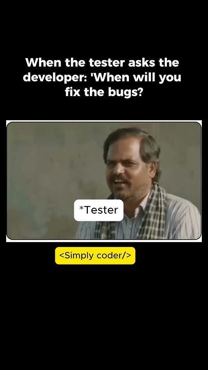 When The Tester Asks The Developer When Will You Fix The Bugs