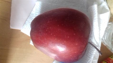 Fruit Recognition Apple Pear Classification Dataset V3 2024 12 04 2