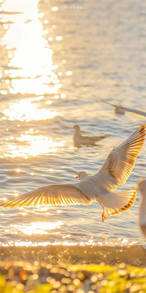 Best 13 Pazham Pori Artofit