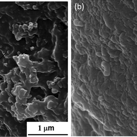 Xrd Pattern Of Synthesized Tio2 Nps In Anatase Form Download