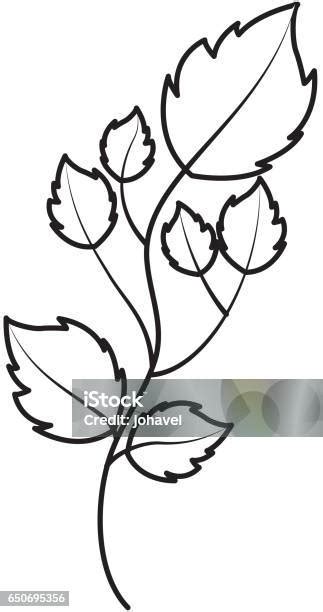 葉子植物自然圖示向量圖形及更多剪裁圖圖片 剪裁圖 圖示 大自然 Istock