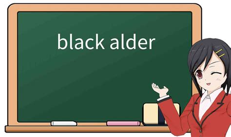 Explicación Detallada De Black Alder” Significado Uso Ejemplos Cómo Recordarlo