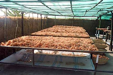 Story Morouj Commodities Uk Ltd