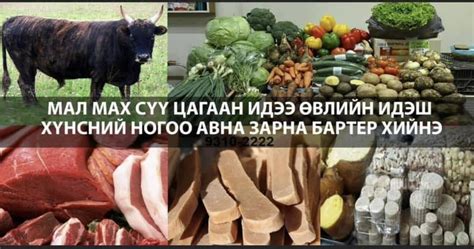МАЛ МАХ СҮҮ ЦАГААН ИДЭЭ ӨВЛИЙН ИДЭШ ХҮНСНИЙ НОГОО АВНА ЗАРНА