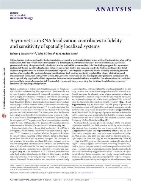 Pdf Asymmetric Mrna Localization Contributes To Fidelity And