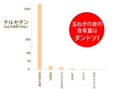 【国産】玉ねぎの皮 粉末 100g 巣鴨のお茶屋さん山年園