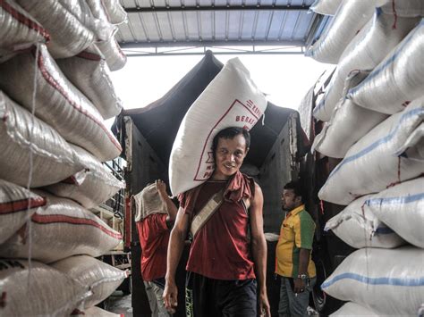 Terungkap Alasan Harga Beras Di Indonesia Dan Dunia Makin Mahal Tiap Tahun