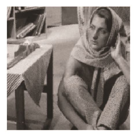 Fingerprinted Decryption Images Using Different L Codebooks A