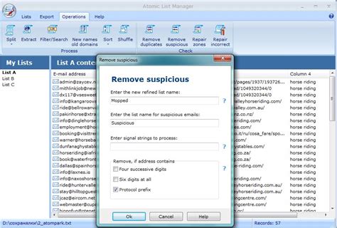 Email List Management Software Massmail Software
